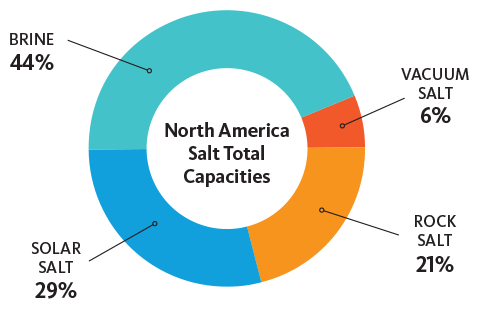 Salt market trends