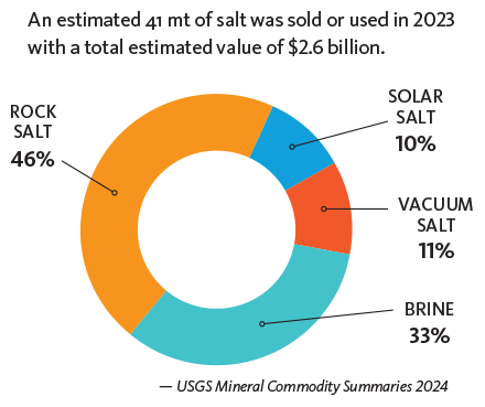 Salt market trends